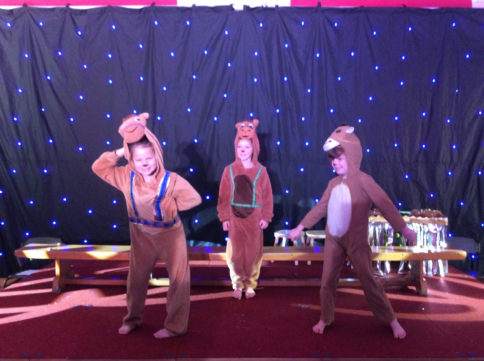 Snaith Primary School - Lights Camel Action